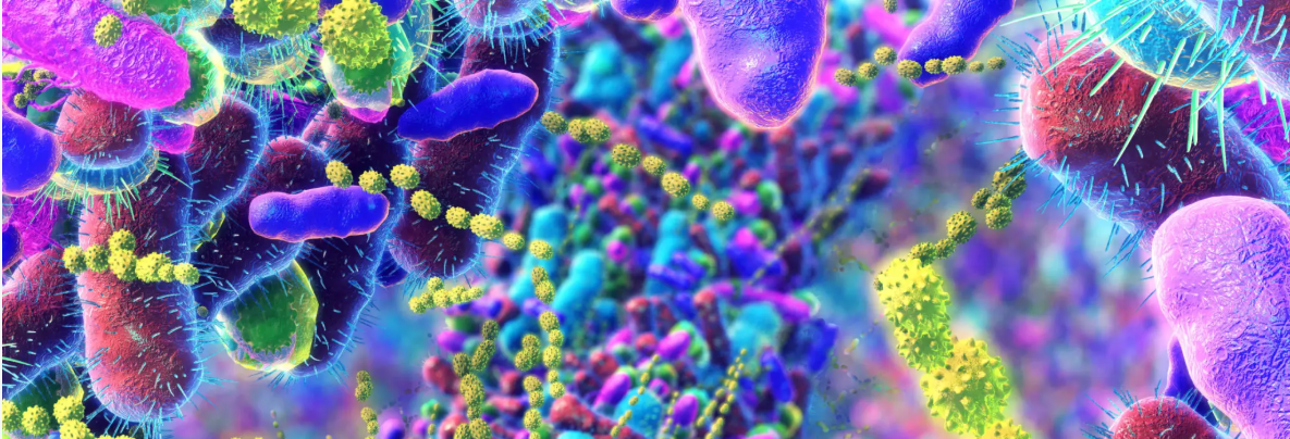 Biofilm Research & Odor Control: Breaking the Invisible Barriers with ...